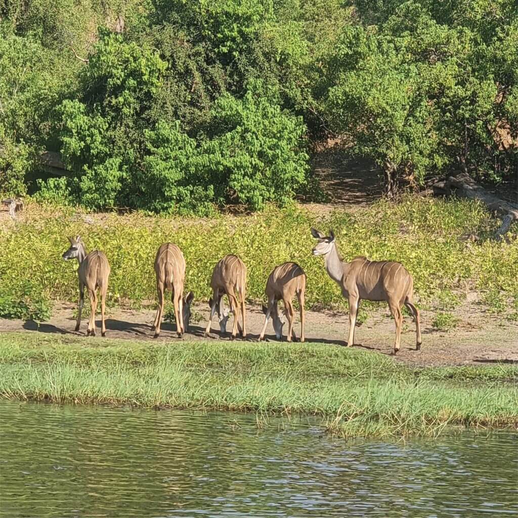 Rustiek - Luxury Hotel & Resort
